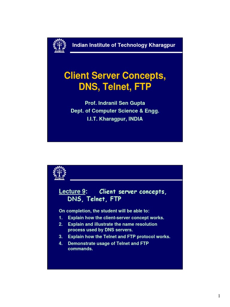 Client-Server Concepts, DNS, Telnet and FTP Protocols: An Overview | PDF | File Transfer ...