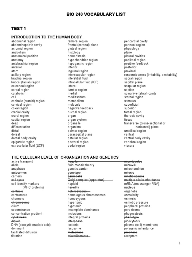 Bio 240 Vocabulary List Test 1 | PDF | Bone | Epithelium