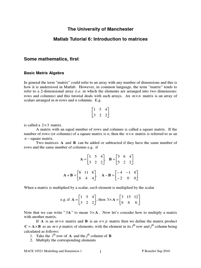 Tutorial 6 - Introduction To Matrices - 2010 | PDF | Matrix ...