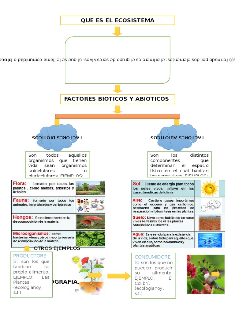 Trabajo de Ecologia Sobreel Ecosistema y Factores Bioticos y Abioticos ...