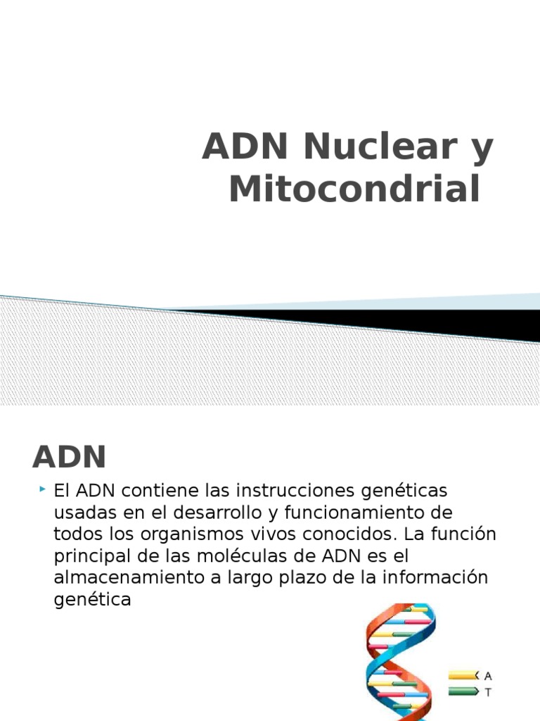 ADN Nuclear y Mitocondrial (2016!11!01 04-21-21 UTC) | PDF