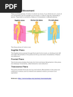 Movement (Anatomical Terms) | PDF | Anatomical Terms Of Motion ...