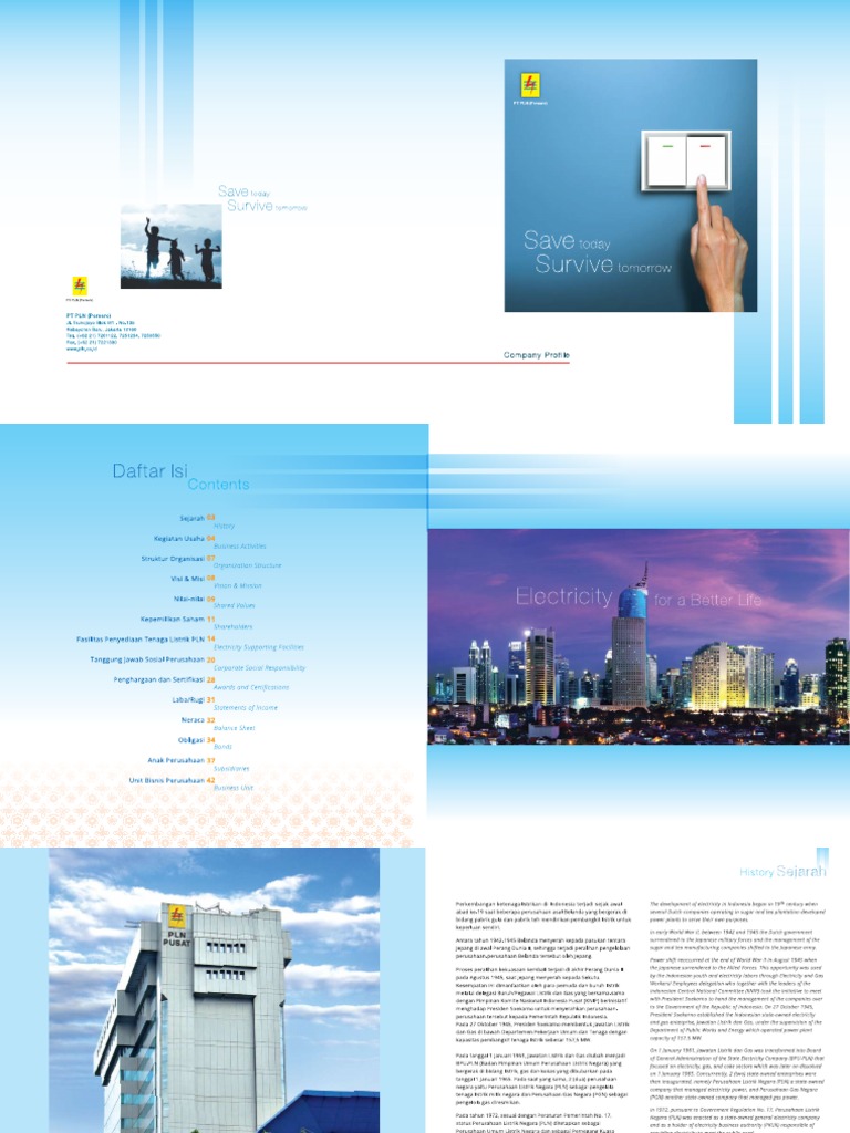 Company Profile PLN | PDF
