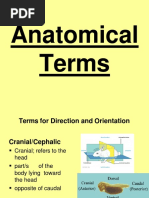 External Anatomy of the Frog | PDF | Vertebra | Peritoneum