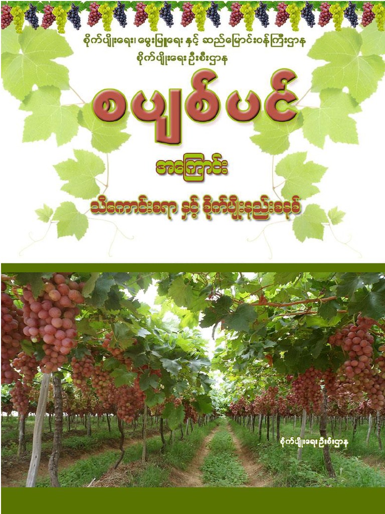 Grape Book PDF | PDF