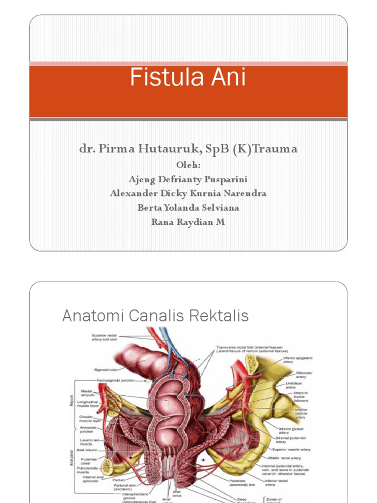 Fistula Ani | PDF