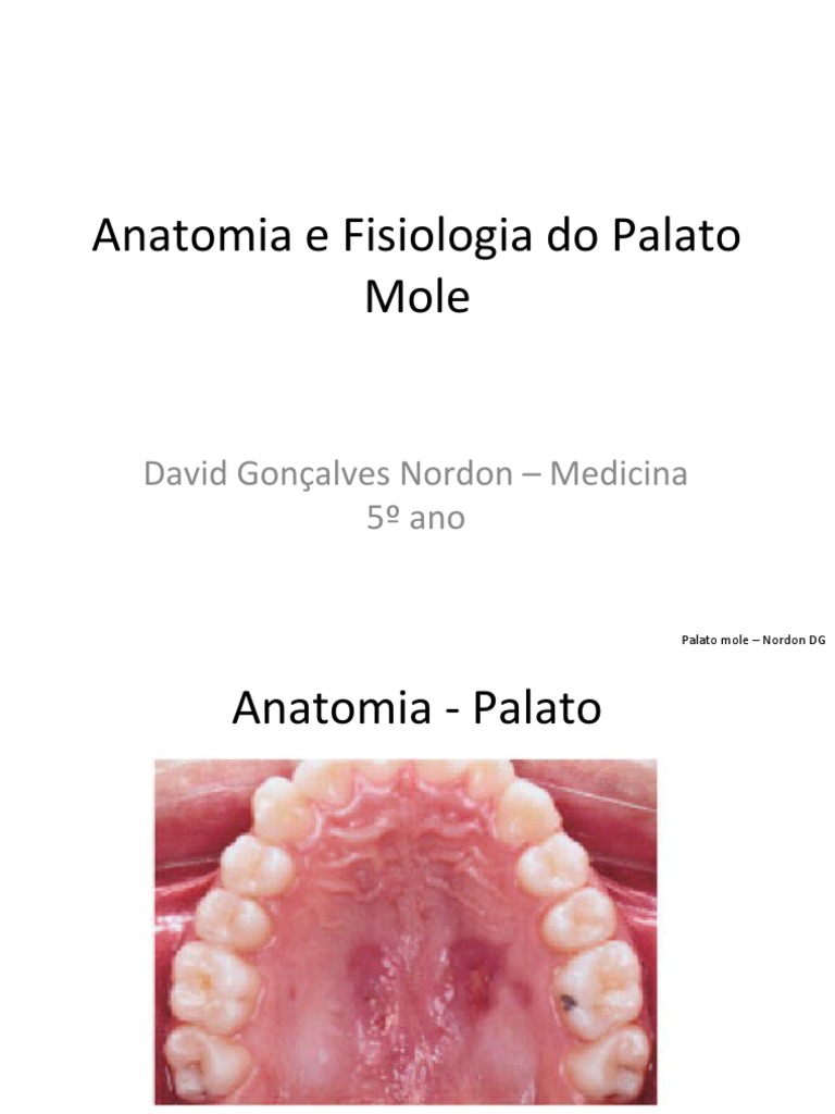 Anatomia e Fisiologia Do Palato Mole | PDF | Anatomia humana | Anatomia