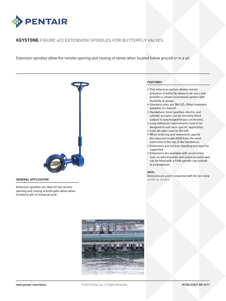 Stem Valve | PDF