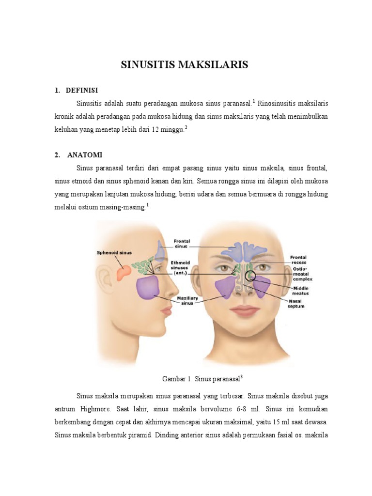 Referat Sinusitis Maksilaris | PDF | Pengembangan Diri | Kesehatan Holistik