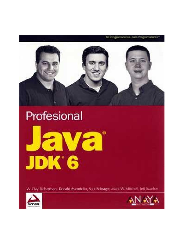 Profesional Java JDK 6 | PDF