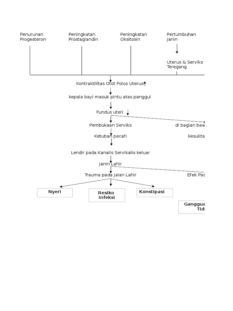 Pathway Postpartum Spontan | PDF