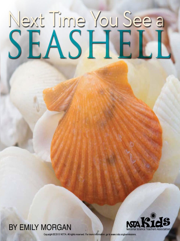 Seashell | PDF | Molluscs | Protostomes