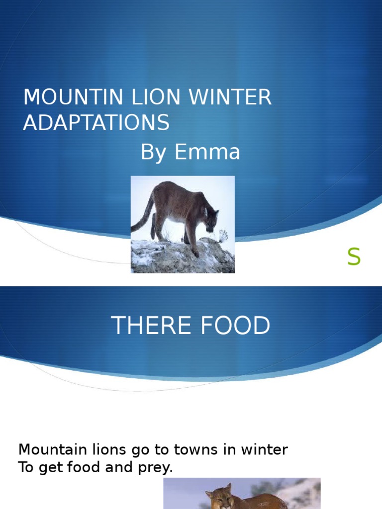 Mountain Lion Winter Survival | PDF