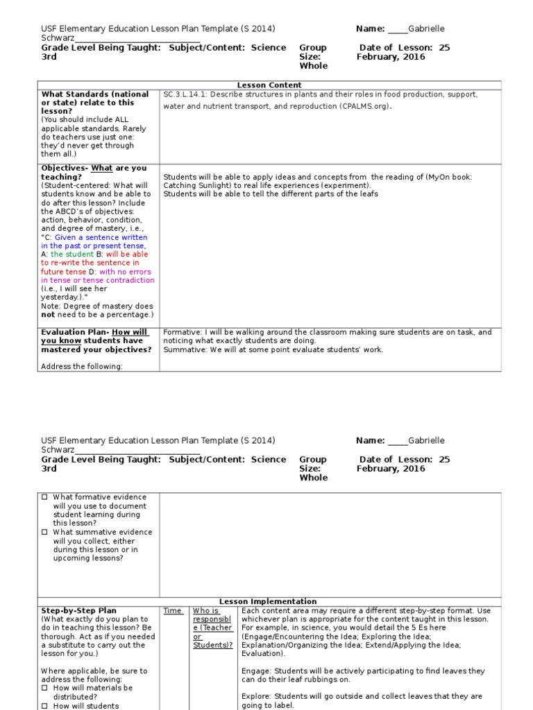 USF Elementary Education Lesson Plan Template (S 2014) Schwarz | PDF ...