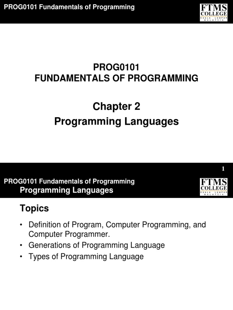 Prog0101 CH02 | PDF | Computer Programming | Computer Program