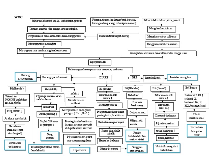 WOC dIARE | PDF