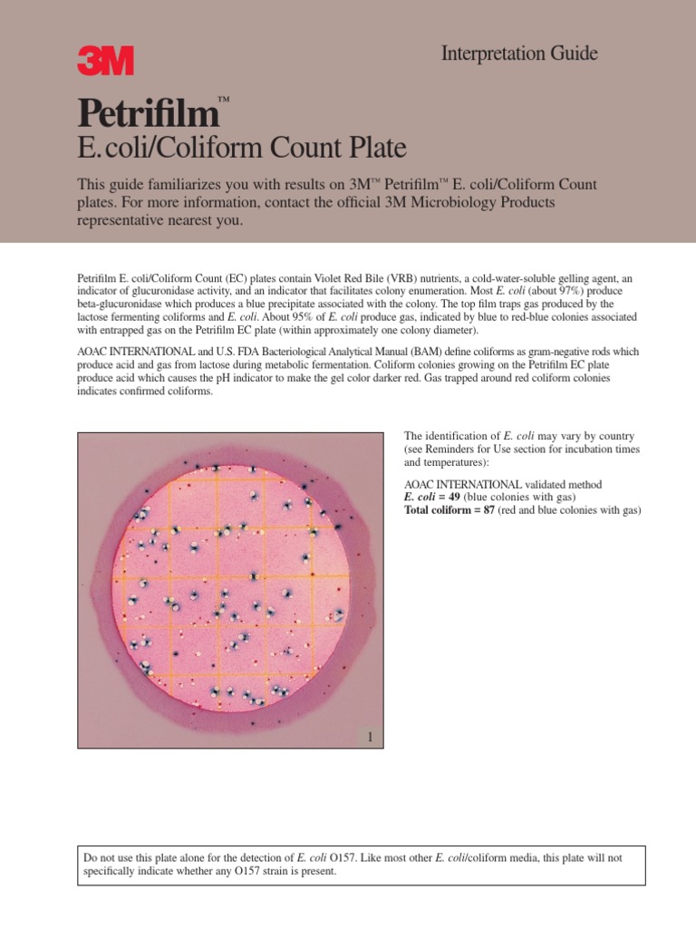 3M Interpretation EC (Panduan Pembacaan Koloni E Coli Dan Coliform) PDF ...