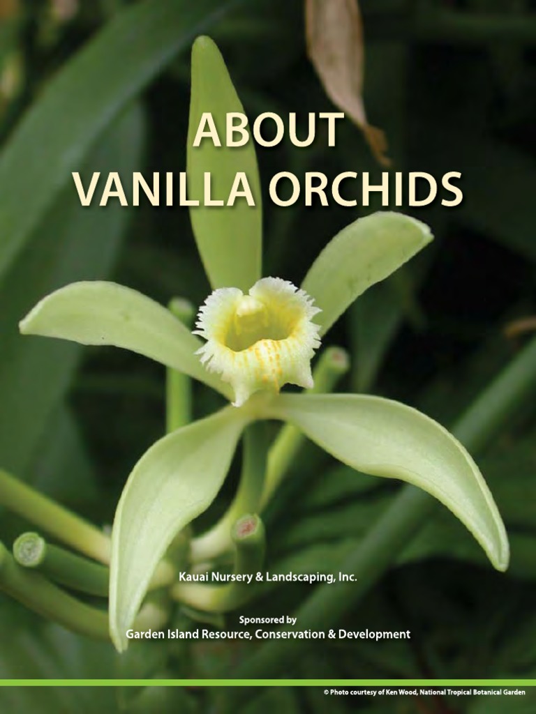 Vanilla Book | PDF | Vanilla | Foods