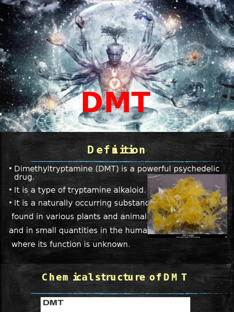 DMT | Download Free PDF | Psychedelic Drugs | Psychoactive Drugs