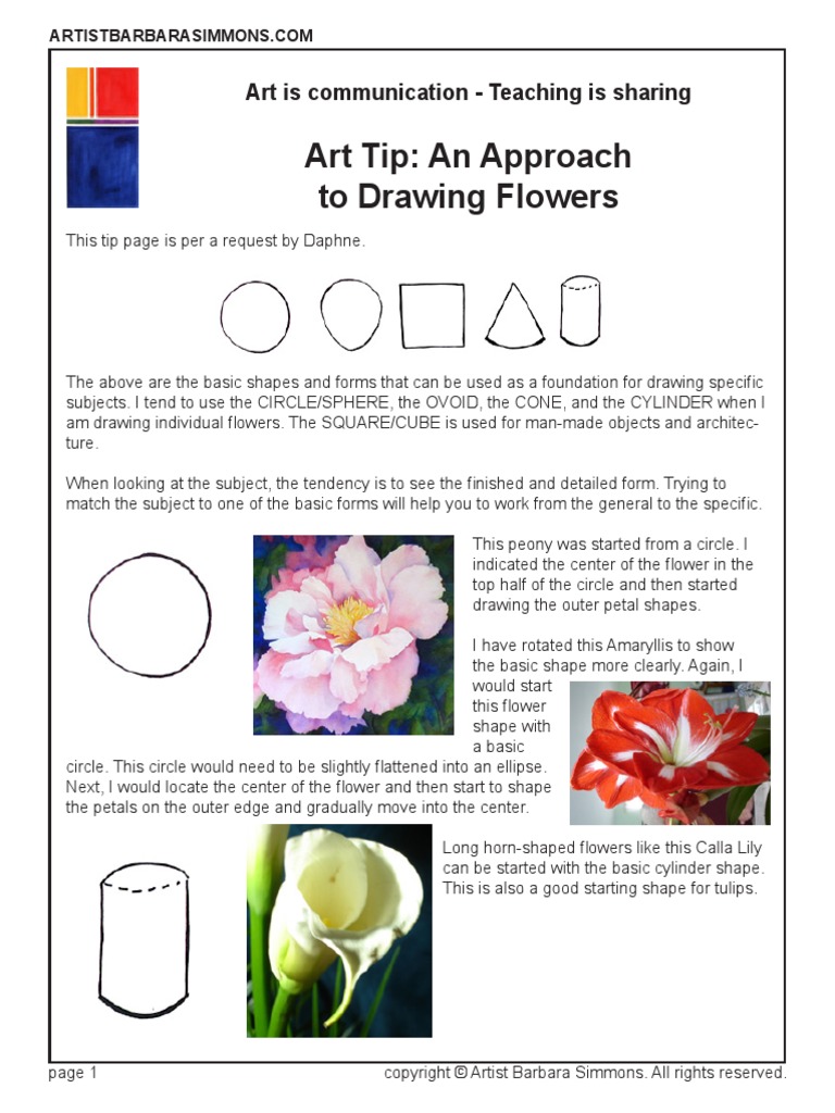 An Approach To Drawing Flowers | PDF | Shape | Flowers