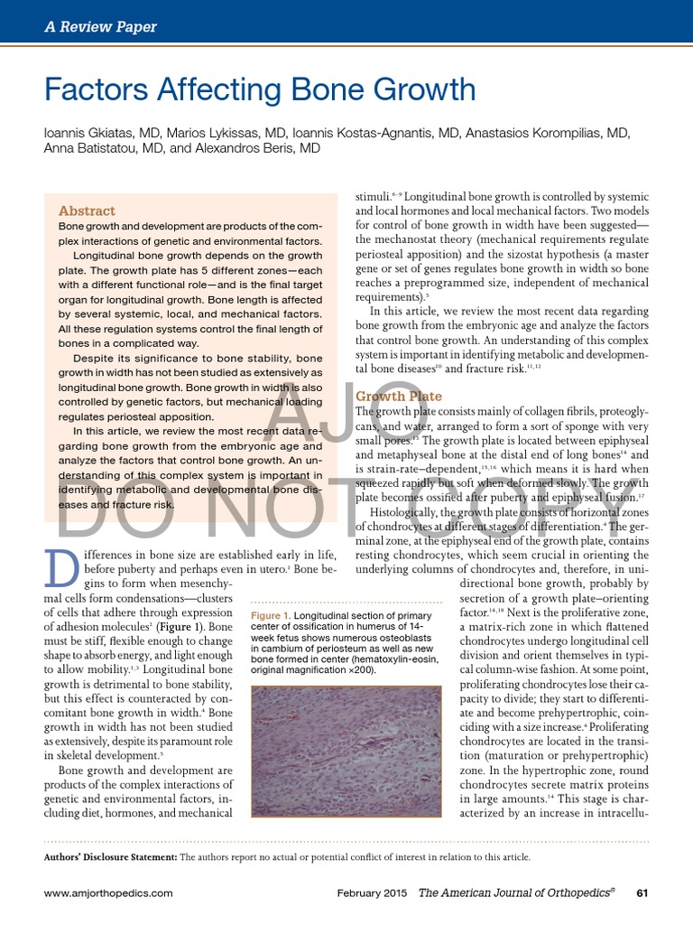 Factors Affecting Bone Growth | Osteoblast | Bone