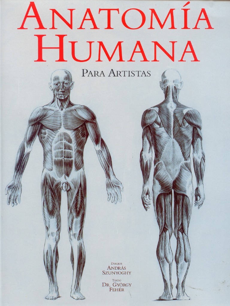 Anatomia Humana