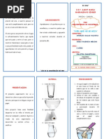 TRIPTICO Experimento Casero | PDF