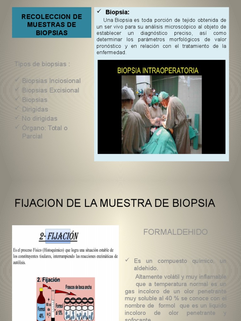 Recoleccion de Muestras de Biopsias 2 | PDF | Biopsia | Formaldehído