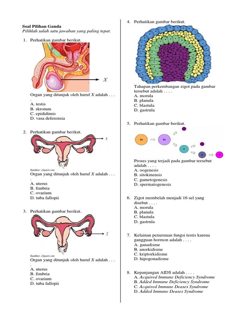 Soal Ulangan Harian Sistem Reproduksi Manusia I | PDF