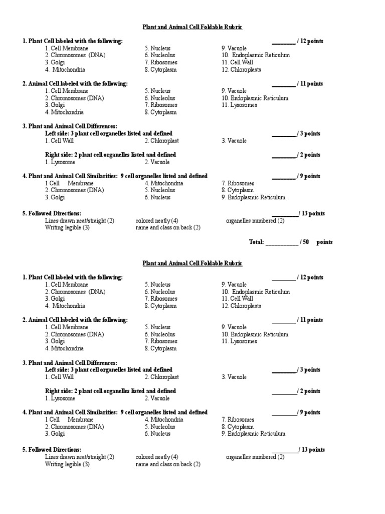 Cell Foldable Rubric | PDF | Cytoplasm | Cell (Biology)