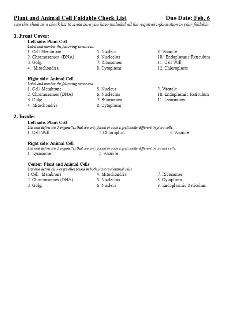 Cell Foldable Check List | PDF