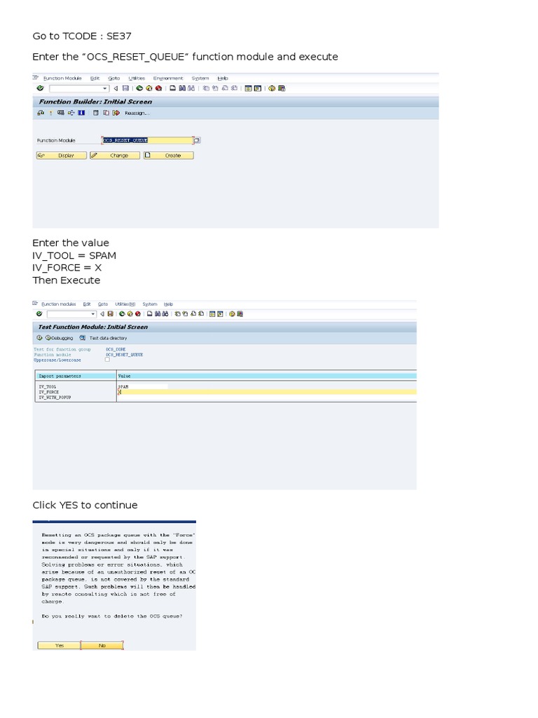 Go To TCODE: SE37 Enter The "OCS - RESET - QUEUE" Function Module and Execute | PDF