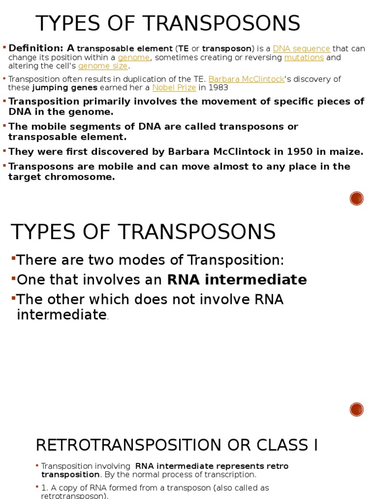 Types of Transposons | Transposable Element | Molecular Genetics