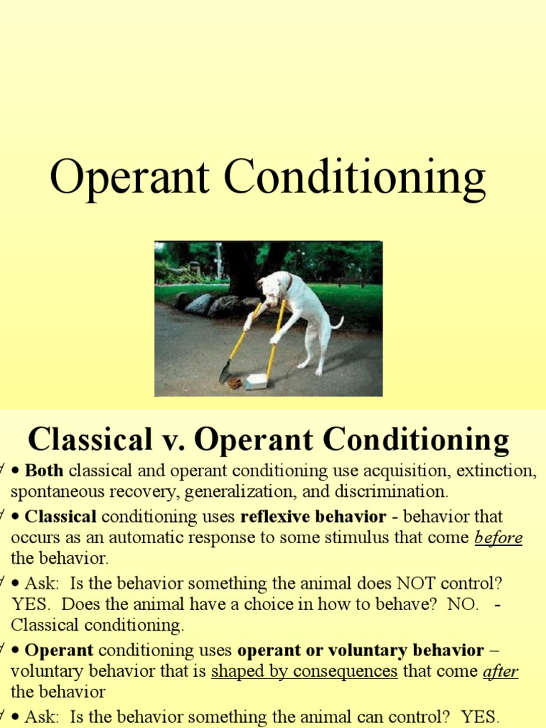 Operant Conditioning | Reinforcement | Psychological Theories