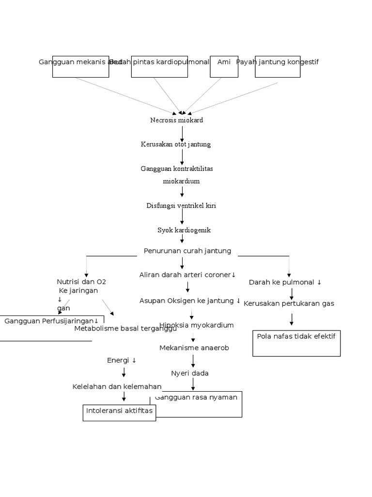 Pathway Syok Kardiogenik