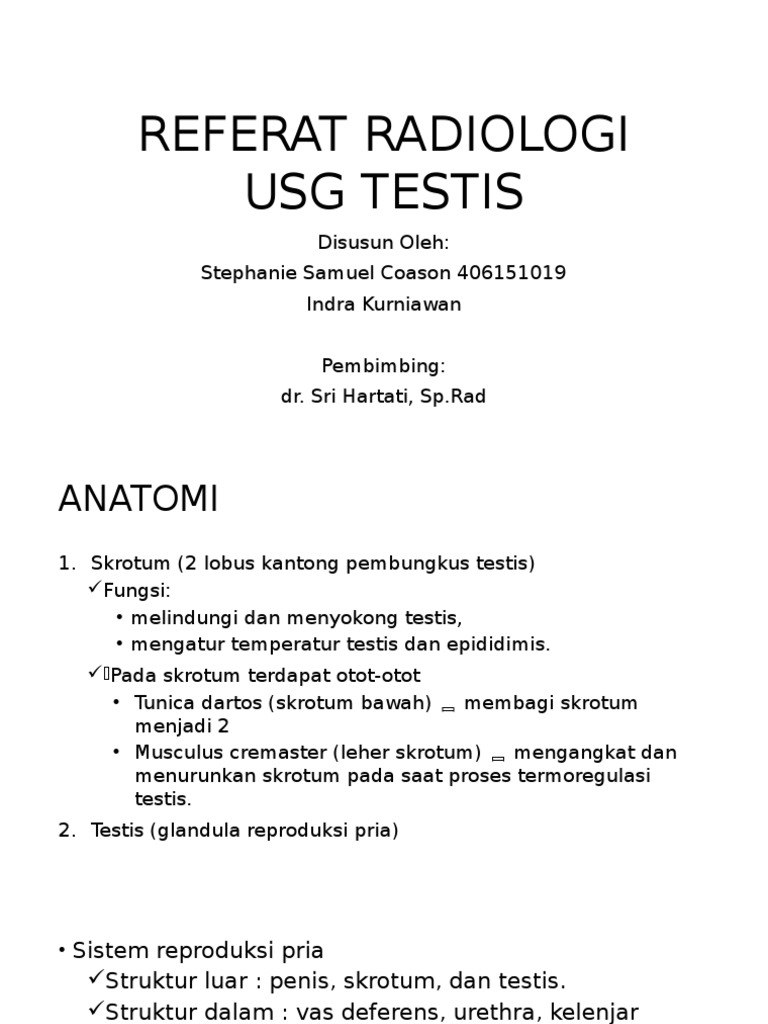 Anatomis dan Kelainan USG Testis | PDF | Ilmu Sosial | Kesehatan Holistik