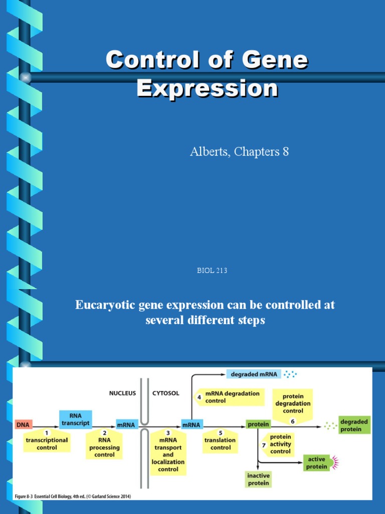 Control of Gene Expression | PDF