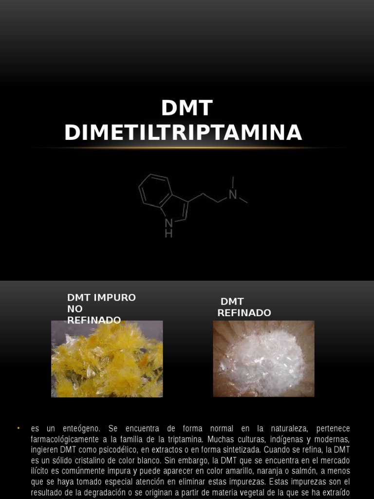 DMT | PDF | Etnobotánica | Drogas
