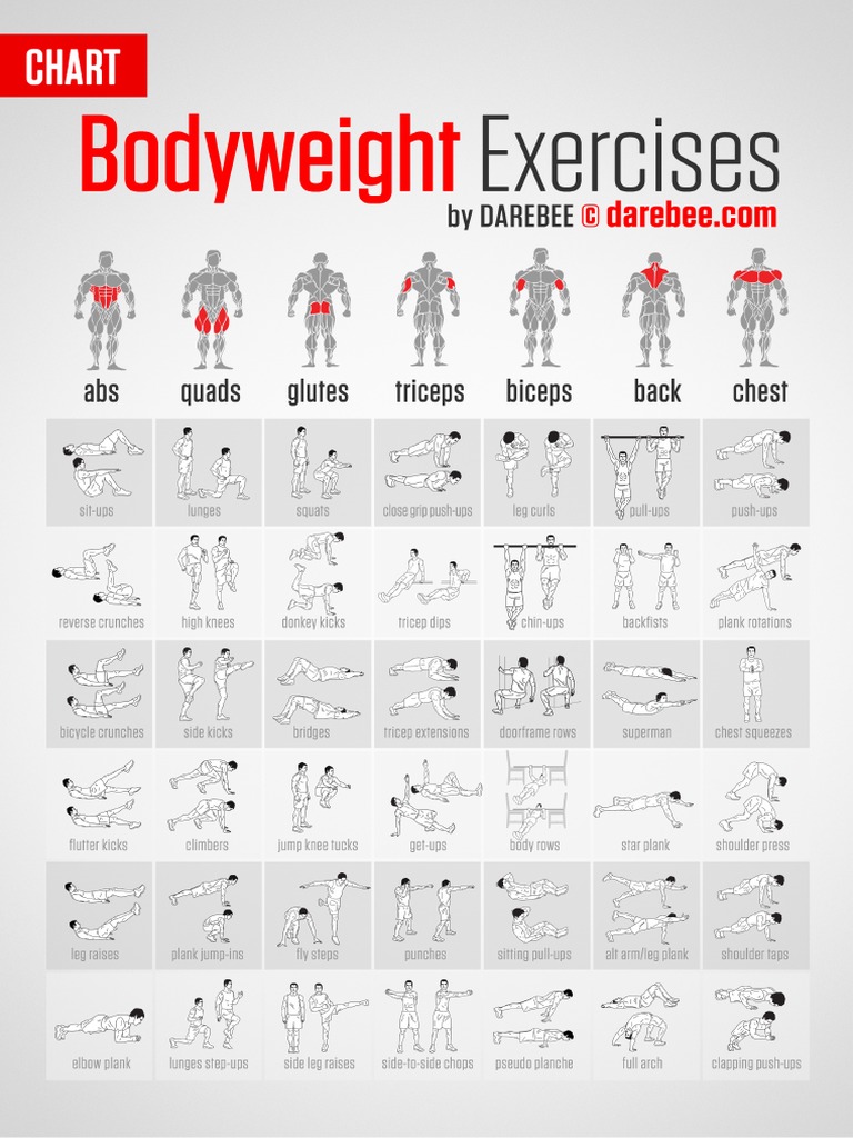 Bodyweight Exercises Chart | PDF