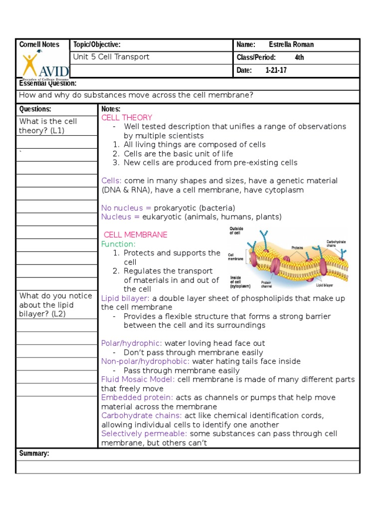 Understanding Cell Transport Mechanisms | PDF | Cell Membrane ...