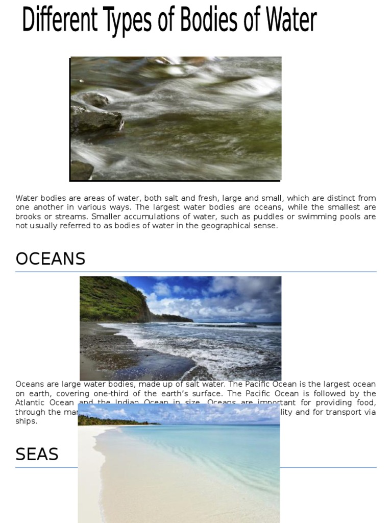 Different Types of Water Bodies | PDF | Sea | Fresh Water