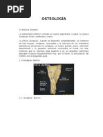 Anatomía Del Hueso Del Húmero Del Perro AnatomyLearner - El Lugar para ...