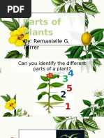 Grade 3 Plants Parts and Their Functions | PDF | Flowers | Petal