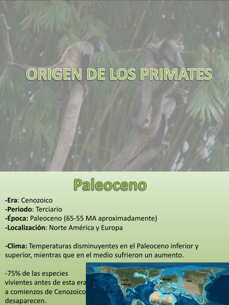 Evolución de Primates en el Cenozoico | PDF | pleistoceno | Science