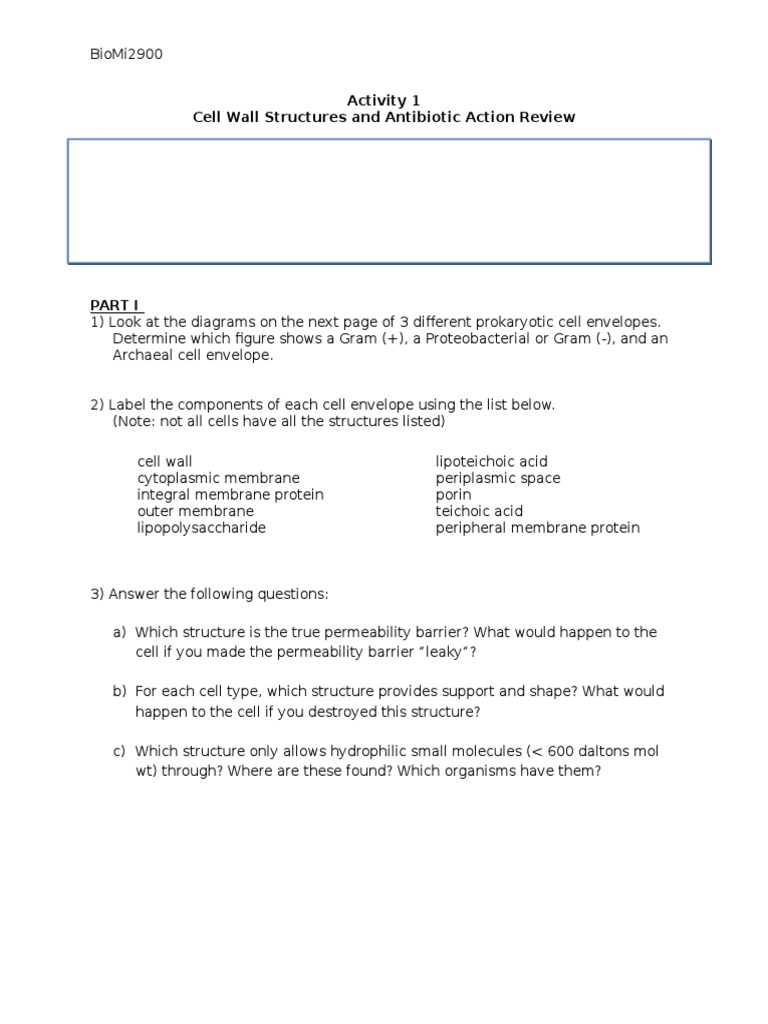 2900 - Activity01 Homework CellEnvelope | PDF | Cell (Biology) | Molecular Biology