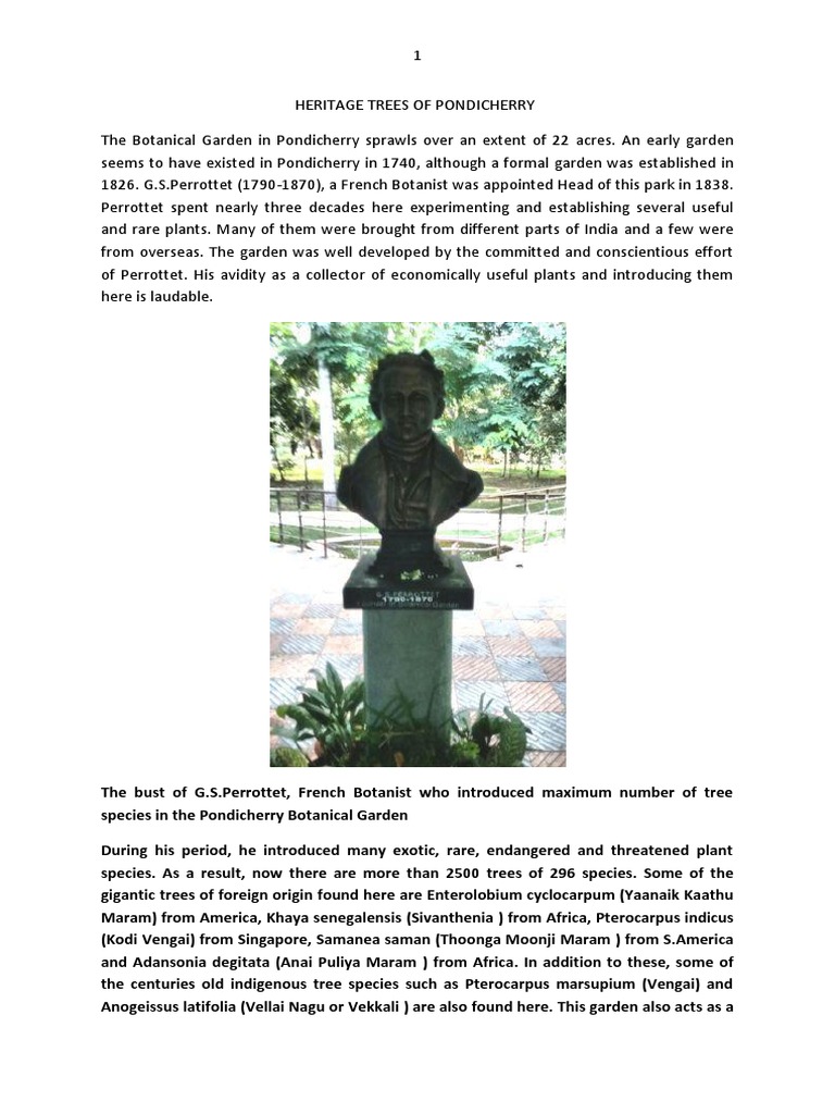 Heritage Trees of Pondicherry | PDF | Trees | Organisms