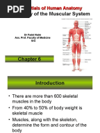 SFMA Score sheet.pdf | Anatomical Terms Of Motion