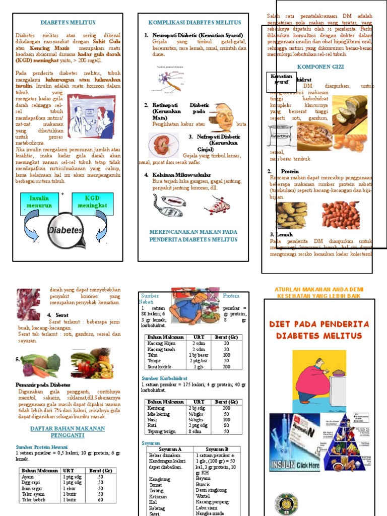 Leaflet Diet DM | PDF