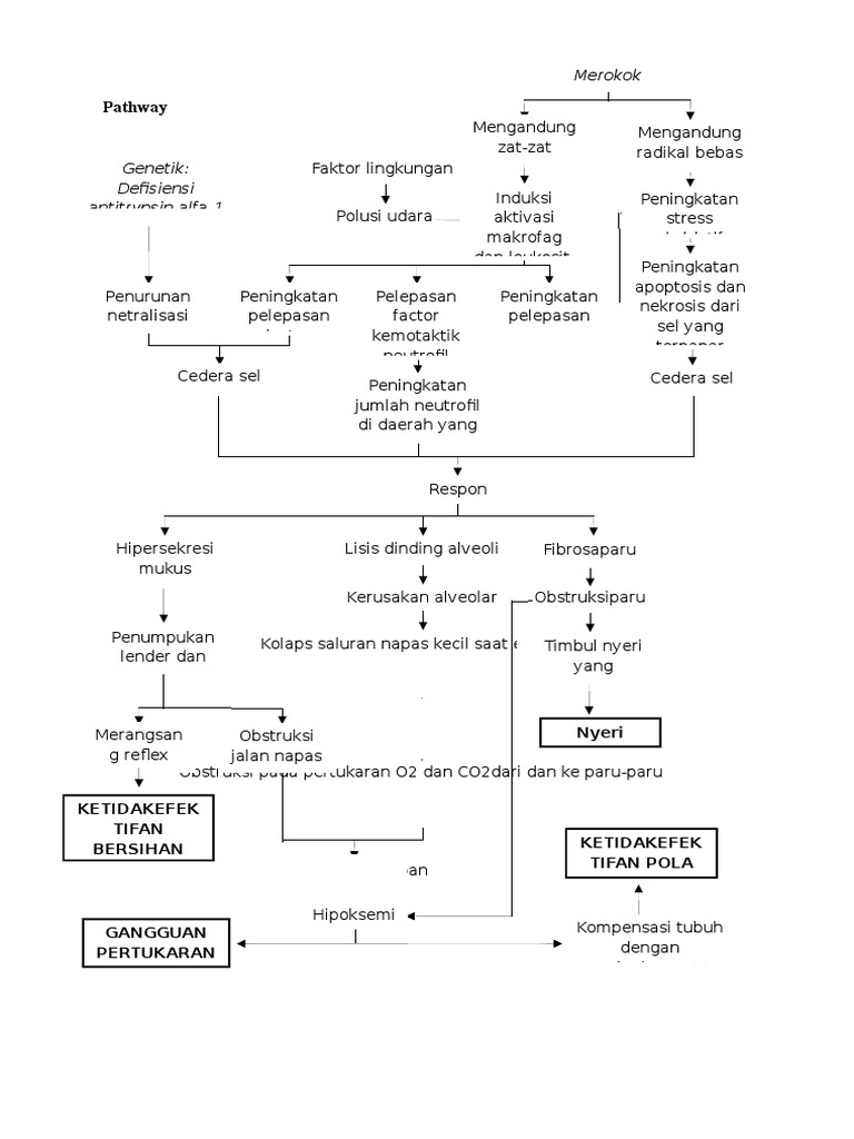 Merokok dan Kerusakan Paru-Paru | PDF