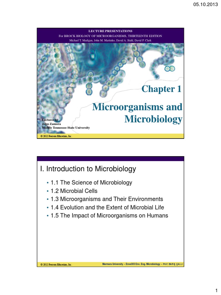 Chapter1 PDF | PDF | Microbiology | Microorganism